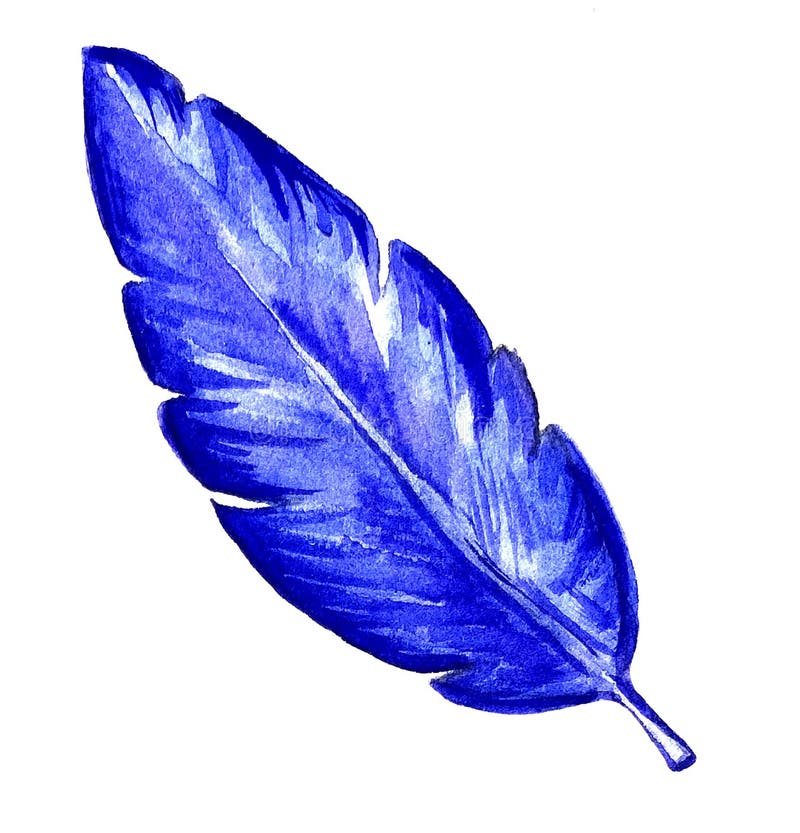 Blue Leaf Close-up. Drawing with Markers Stock Illustration ...