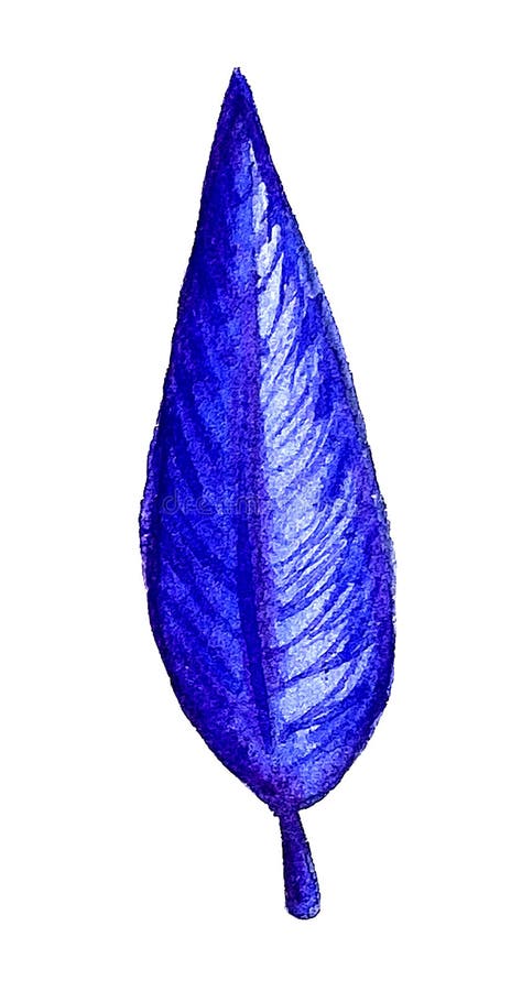 Blue Leaf Close-up. Drawing with Markers Stock Image - Image of summer ...