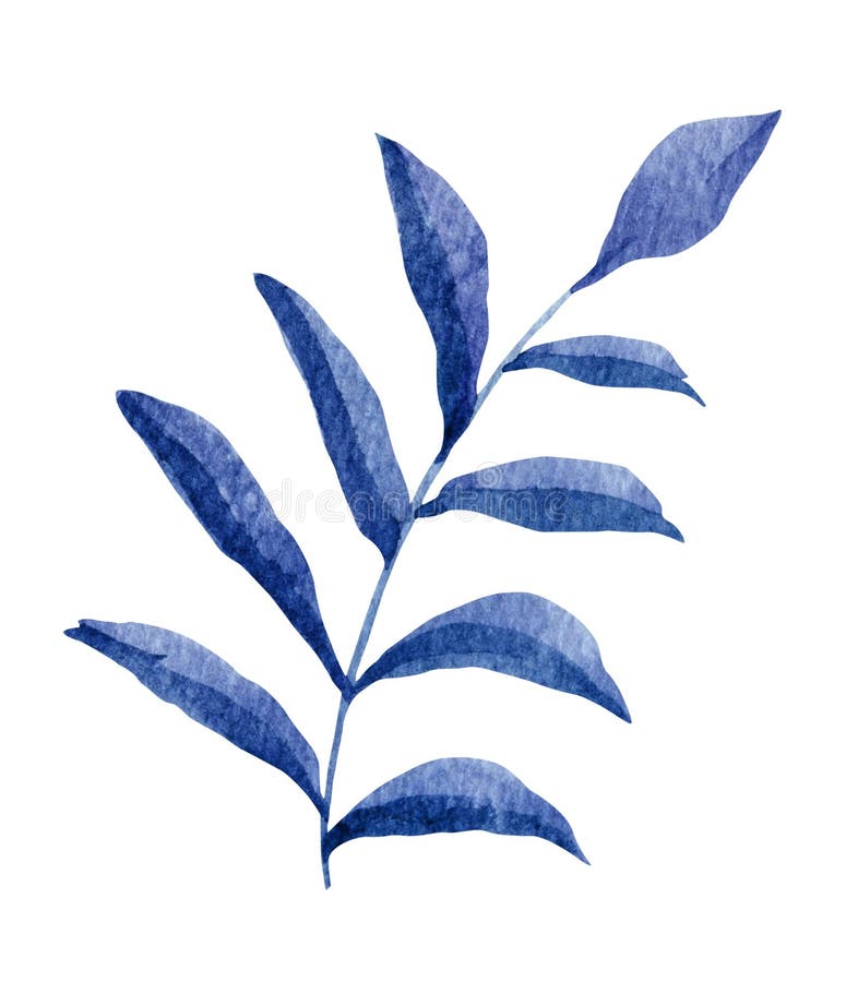 Blue Leaf Watercolor on White Background Stock Illustration ...