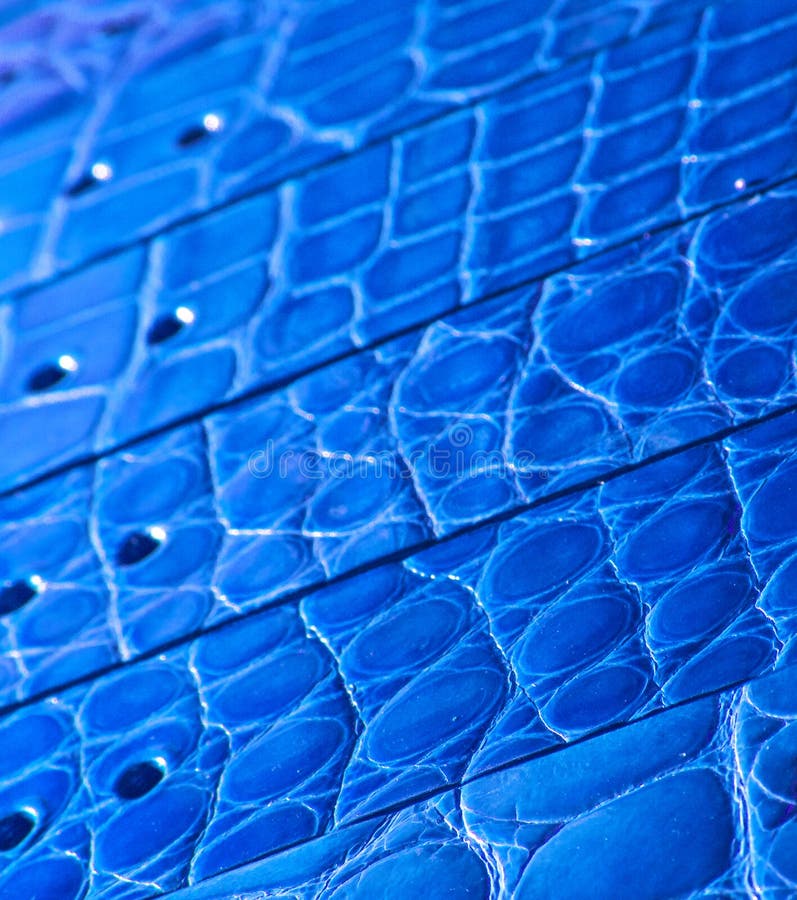 Blue Leather belts stock image. Image of fashion, detail - 83210515