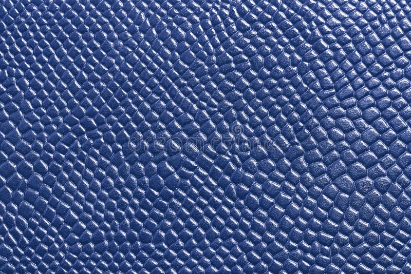 147 Blue Black Leatherette Stock Photos - Free & Royalty-Free Stock ...