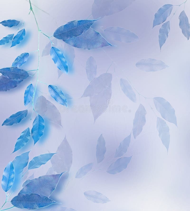 Blue leaves frame stock photo. Image of design, nature - 25298412