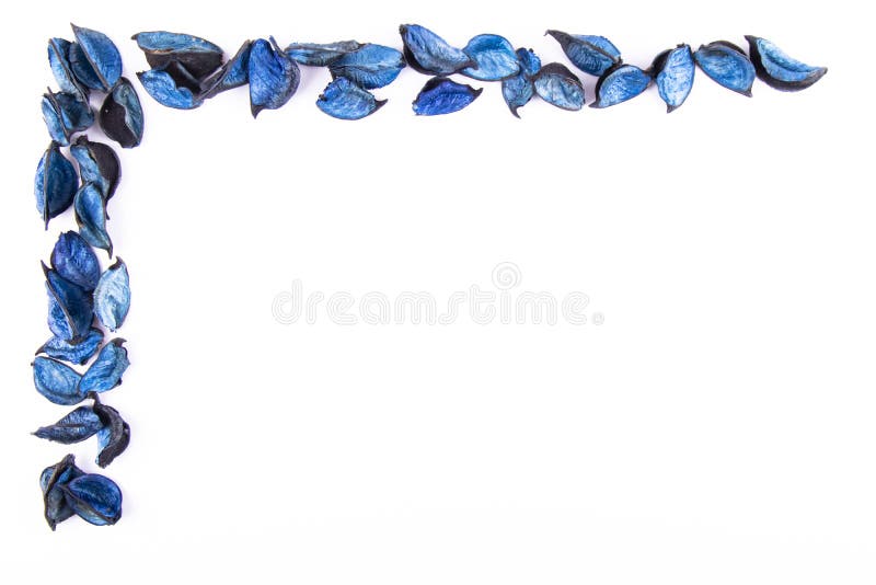 Blue Leaves Frame on a White Background Stock Image - Image of colored ...