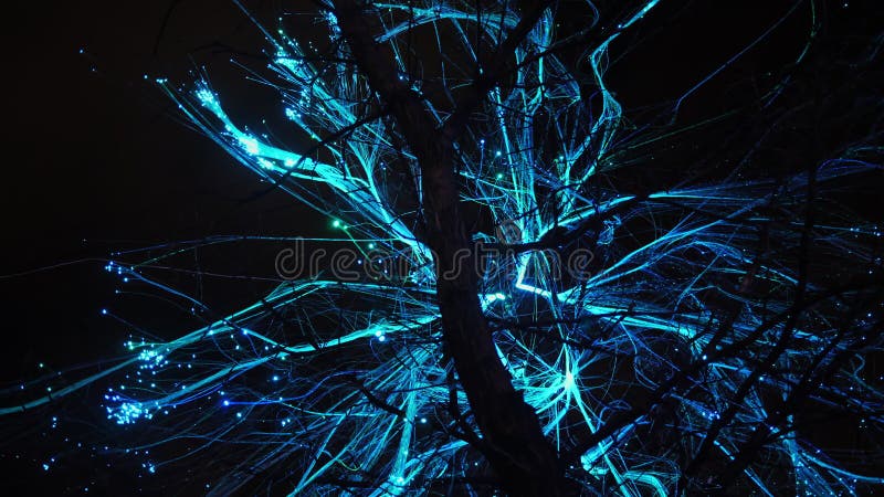 Blue Led Neon Thread Lights Sway on Branches of Dark Tree on Black ...