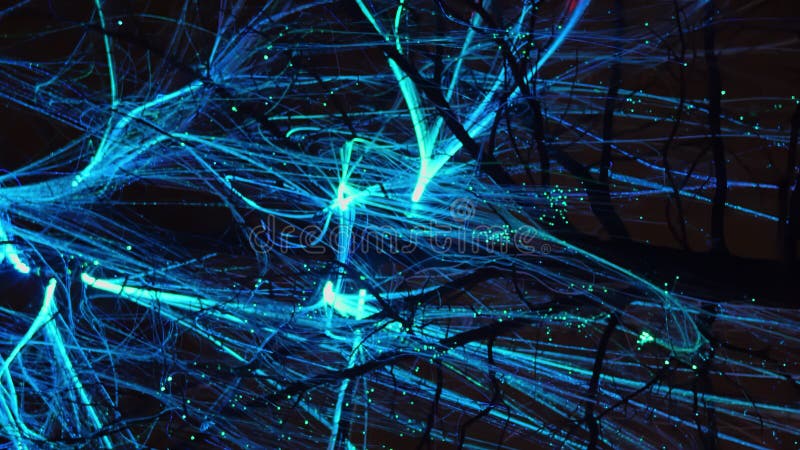 Blue Led Neon Thread Lights Sway on Branches of Dark Tree on Black ...
