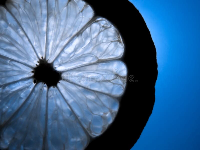 Blue Lemon stock image. Image of half, fresh, clear, tang - 1027075