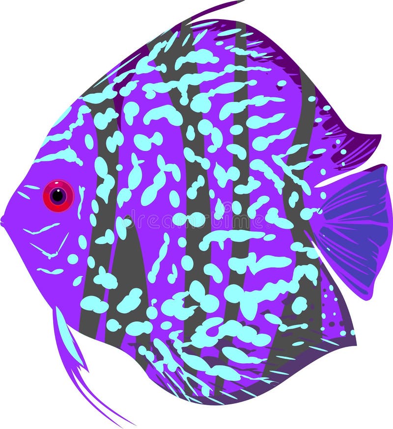 Blue leopard discus fish stock vector. Illustration of cichlidae - 30880562