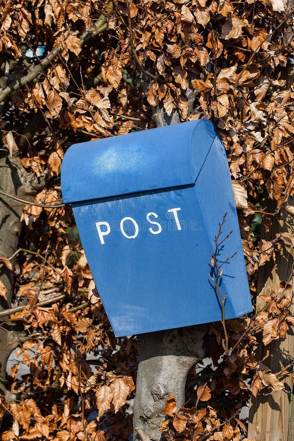 Blue Letter Box on Hedge stock photo. Image of paper - 39431430