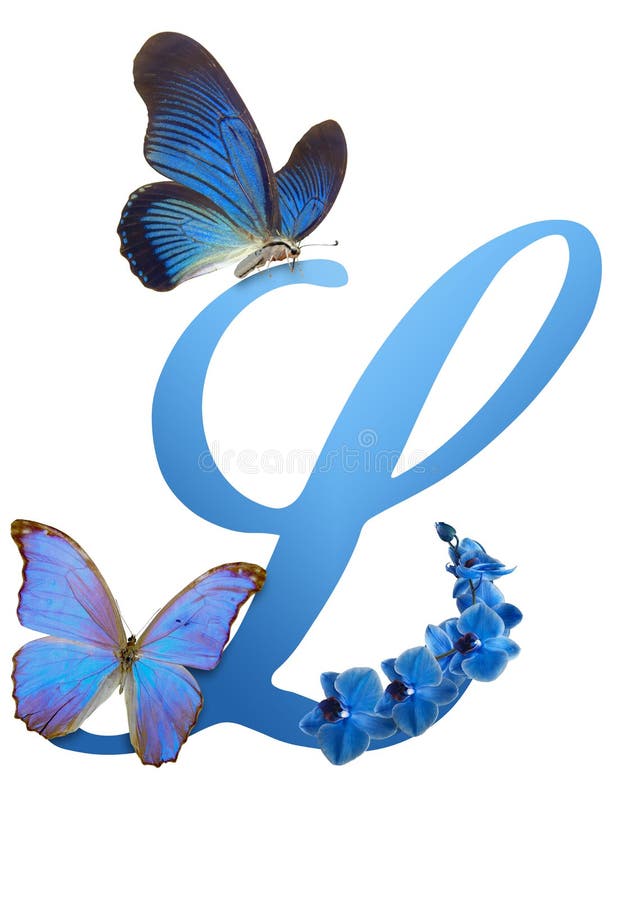 Blue Letter with Orchid and Butterfly Stock Illustration - Illustration ...