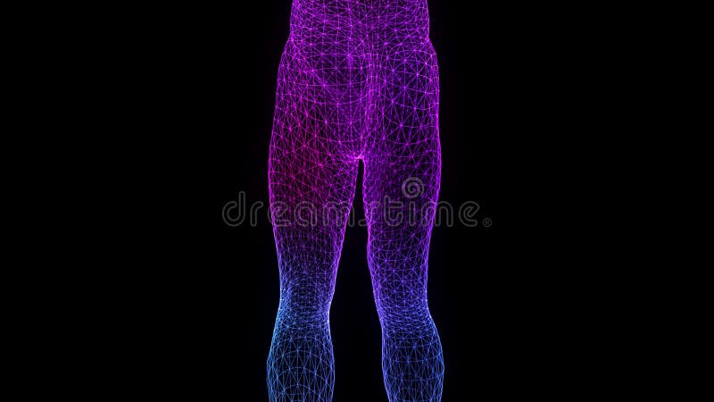 Human Circulatory System. Heart Beat Anatomy Animation Stock Footage ...