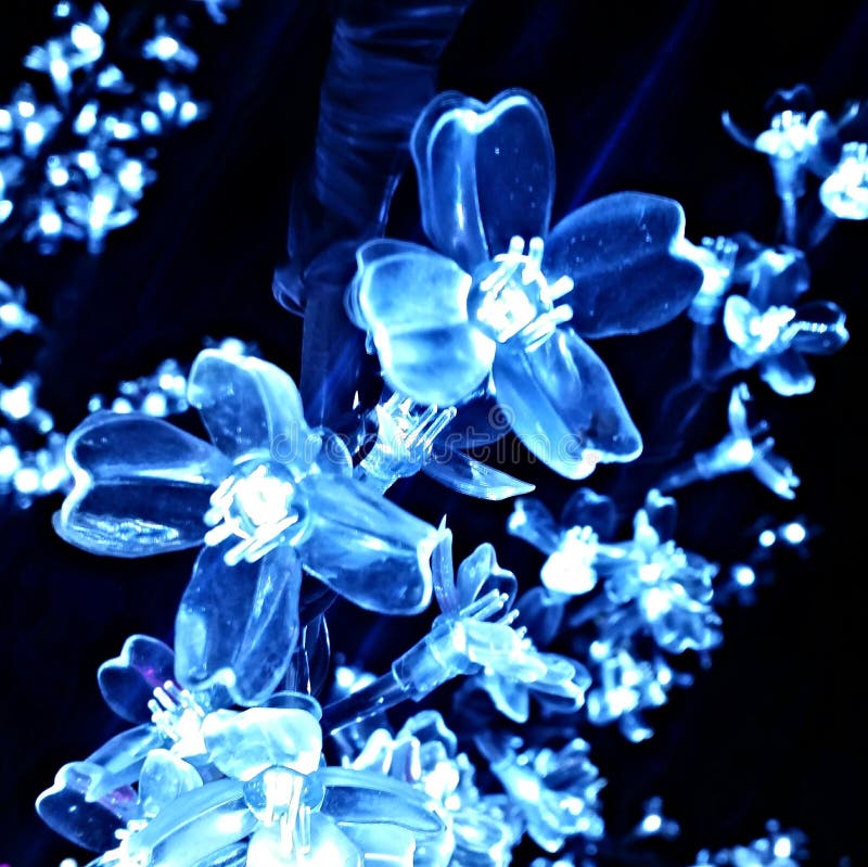 Blue Light Flower stock photo. Image of blue, celebration - 82785428