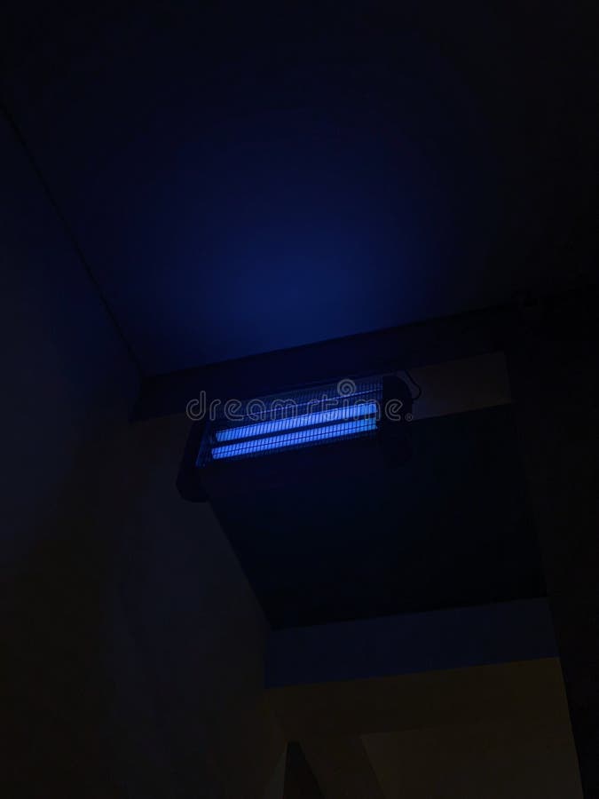 Blue Light Fly Trap in Restaurant Stock Photo - Image of trap, blue ...