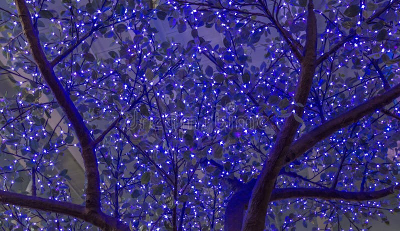 Blue Light and Tree Branches Stock Image - Image of abstract, flow ...