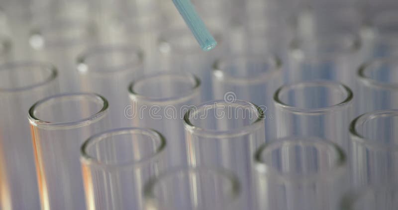 Blue Liquid Drops Fall from Pipette into Test Tubes Put in Row Stock ...