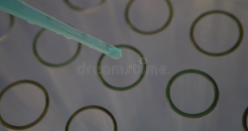 Blue Liquid Drops Falling from Pipette into Numerous Test Tubes Stock ...