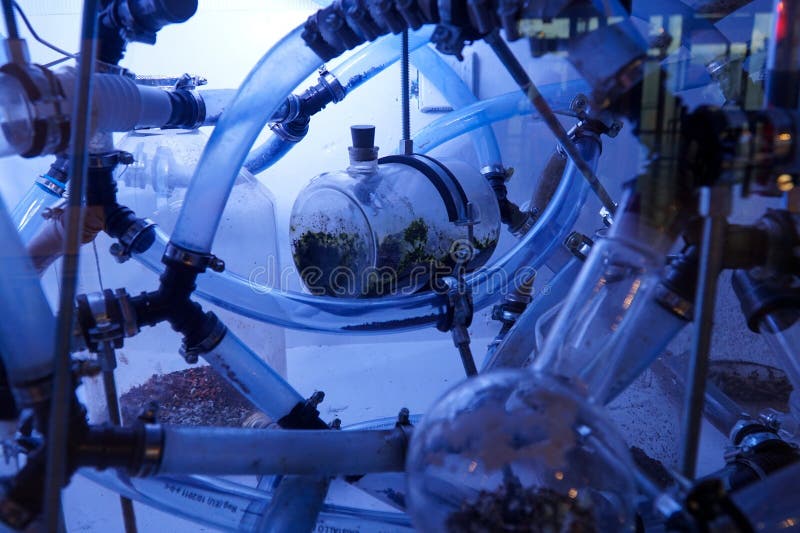 A Blue-lit Aquarium with Insects. Stock Photo - Image of poland, museum ...