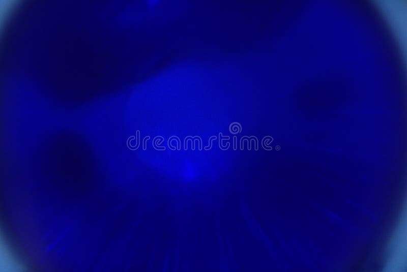 The Blue Look is Cold. a Cold Look from the Blue Abyss. Stock Image ...