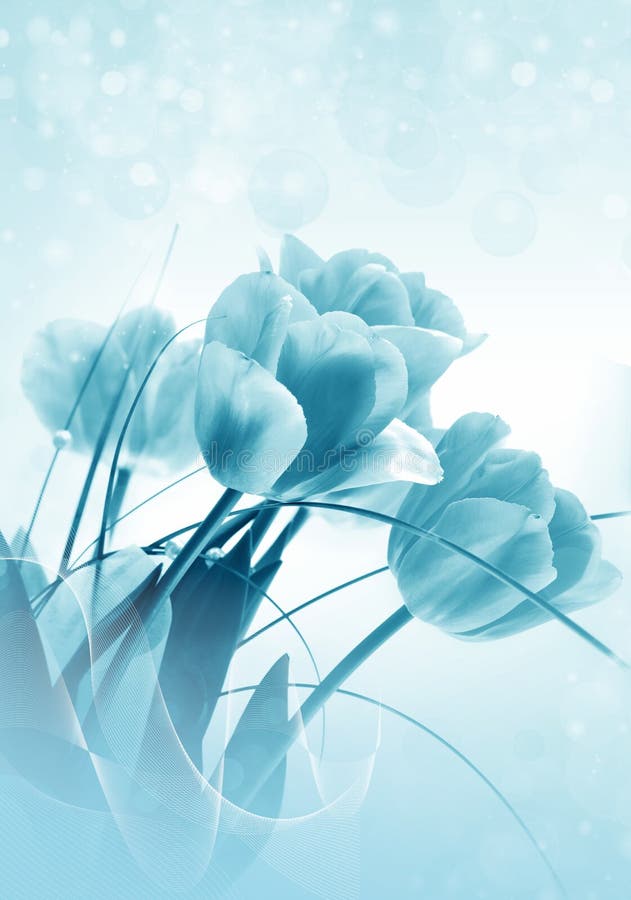 Blue magic tulips stock illustration. Illustration of blurs - 18977104