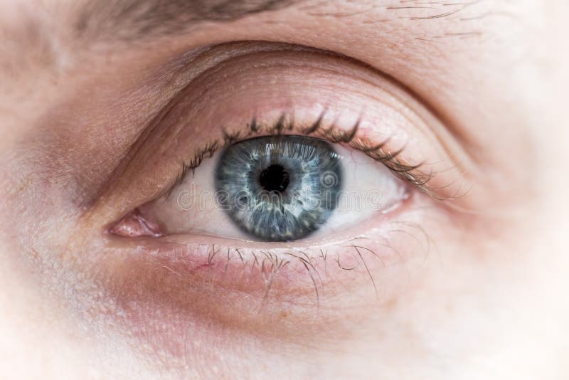 Eyebrows Eye Anatomy Stock Photos - Free & Royalty-Free Stock Photos ...