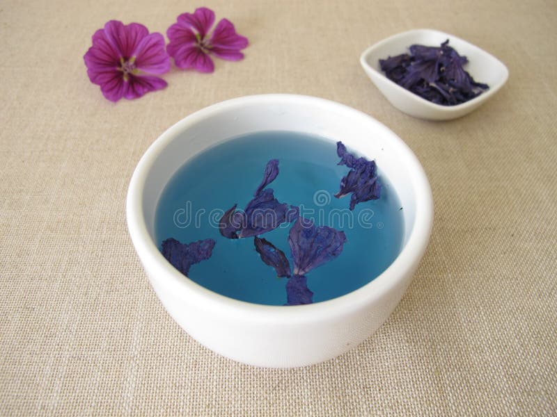 Blue mallow tea stock image. Image of herbal, medicine - 256411569