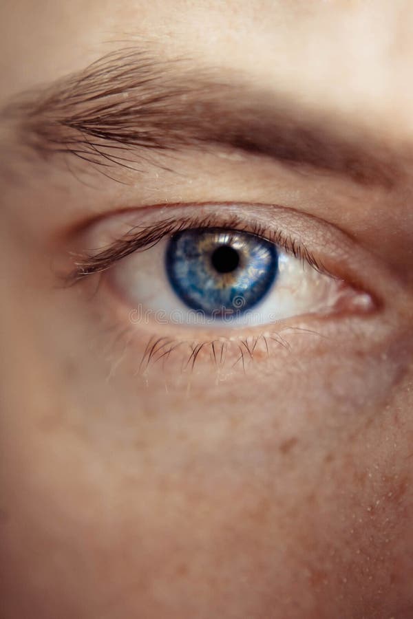 Blue man Eye stock image. Image of eyelid, eyebrow, optic - 46061873