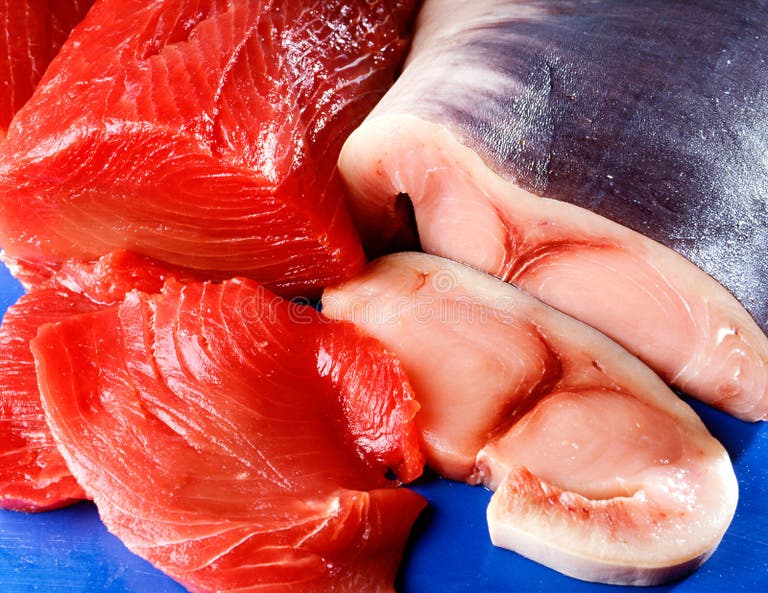 Blue marlin fillets stock photo. Image of steaks, diet - 28080618