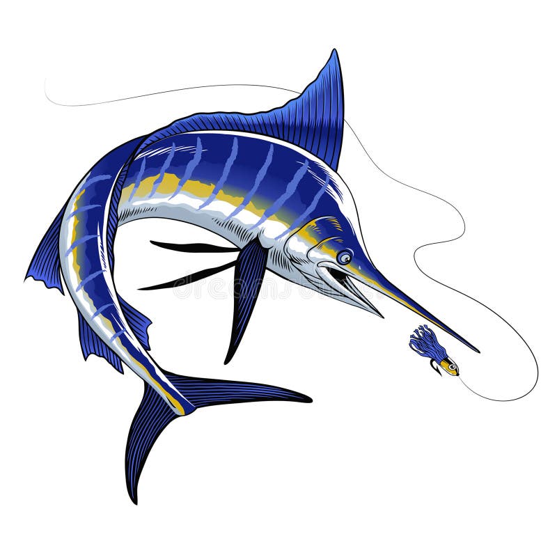 Blue Marlin Fishing Illustration Catching Fish Lure Stock Vector ...