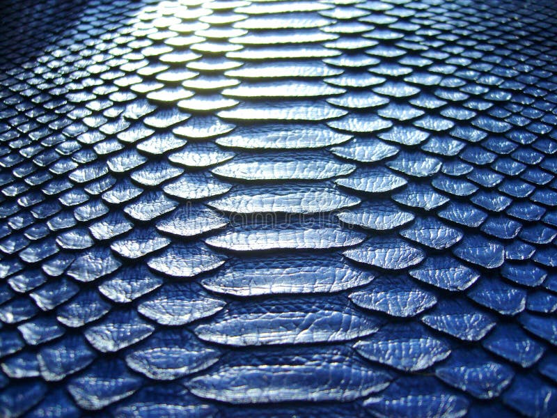 Red Exotic Python Skin, Snakes for the Production of Bags, Clothes ...