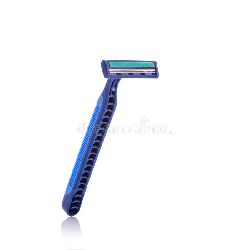 Side View of a Holland Lop Rabbit Isolated on White Stock Photo - Image ...