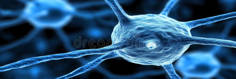 Blue Microscopic View of Interconnected Neurons in the Human Brain ...