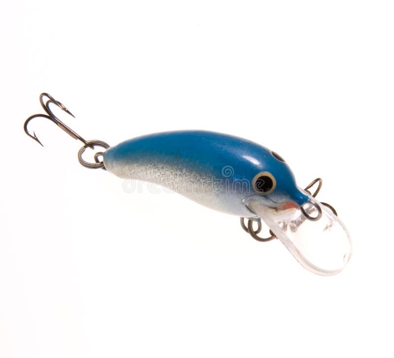 Blue minnow stock image. Image of isolated, water, barb - 10648659