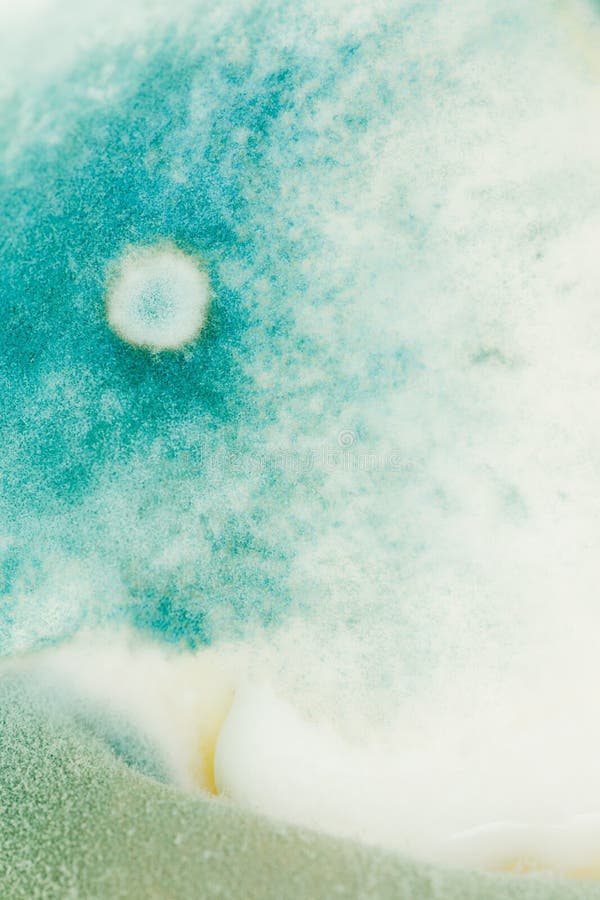 Blue mold background stock photo. Image of abstract - 213023826