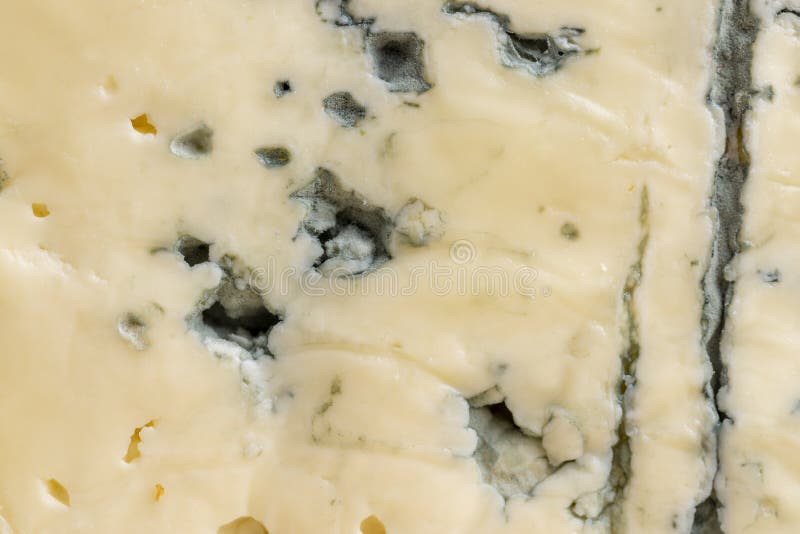 Blue Mold Cheese Cut into Pieces Stock Photo - Image of white, flavor ...