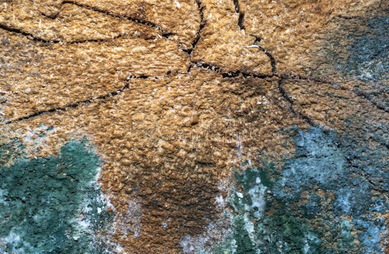 Blue Mold on Old Pine Wood. Background Stock Image - Image of weathered ...