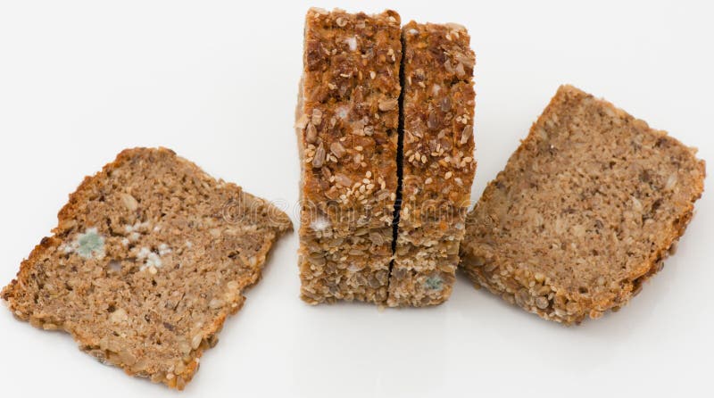 Mold Bread Stock Photos - Download 6,619 Royalty Free Photos
