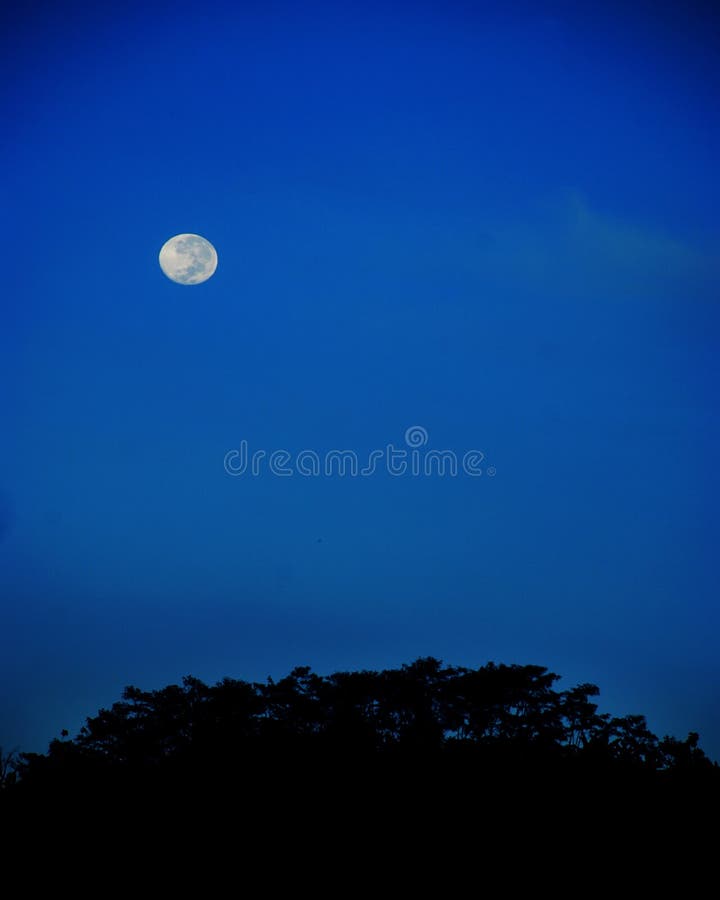Blue Moon in night scene stock image. Image of holidays - 78114097