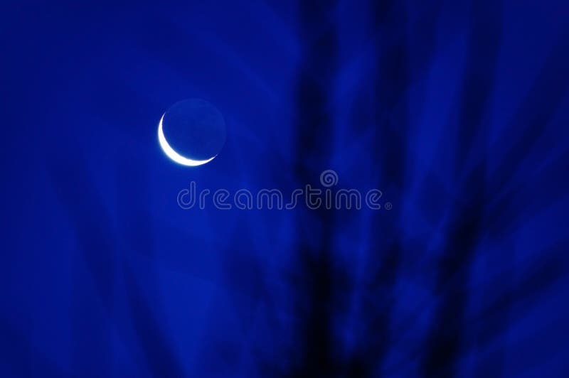 Blue moon scenery stock image. Image of blurred, tree - 35614439