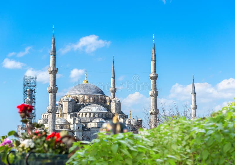 Blue Mosque and flowers stock image. Image of europe - 172869425