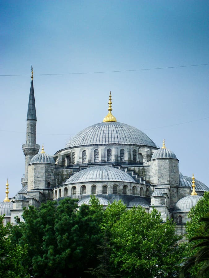 Turkey stock photo. Image of meat, christmas, farm, organic - 31455418