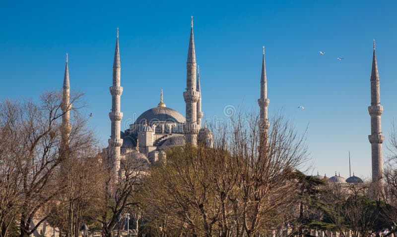 Blue Mosque, Istanbul, Turkey Stock Image - Image of rear, facade: 40033485