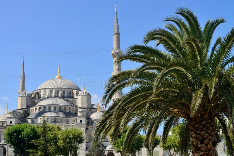 Blue Mosque with Palm stock image. Image of landscape - 32984139