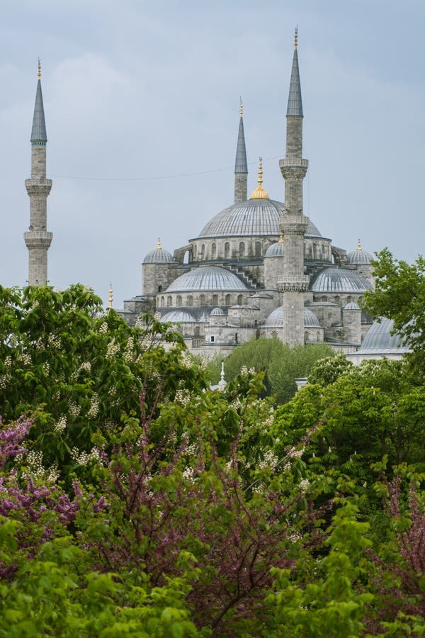 The Blue Mosque stock photo. Image of arabic, blue, islam - 97406850