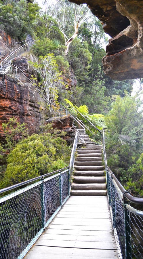 Blue mountain Australia stock photo. Image of sydney - 56312992
