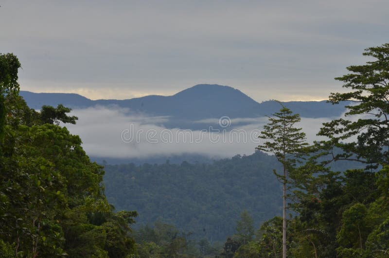 Blue Mountain and Green Forest Stock Photo - Image of river, green ...