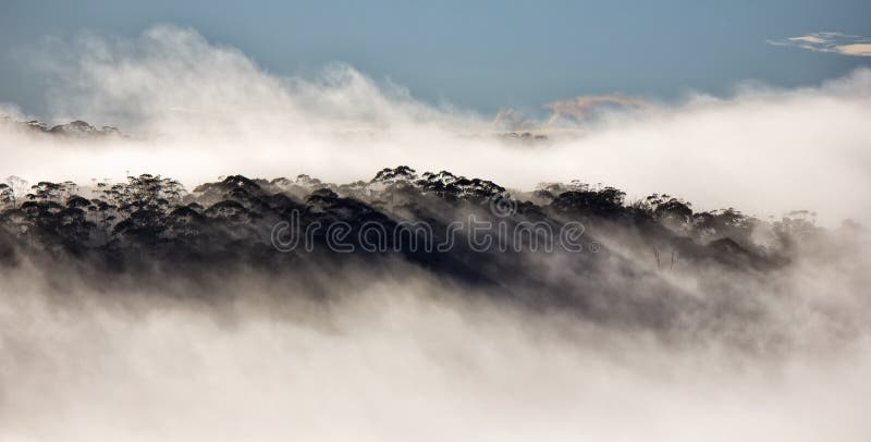 Blue Mountain Mist stock photo. Image of mist, australia - 42141598