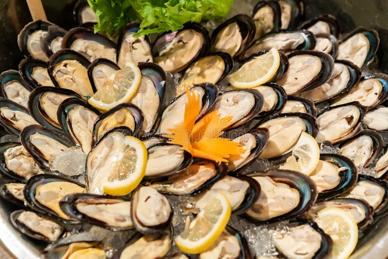 Blue Mussel Seafood on ice stock image. Image of european - 145761835