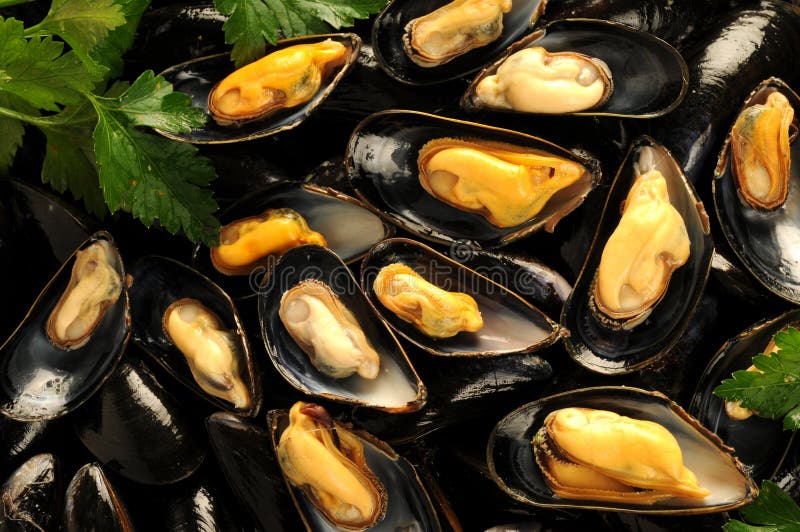 Blue mussels stock image. Image of vitamin, health, fresh - 18420891