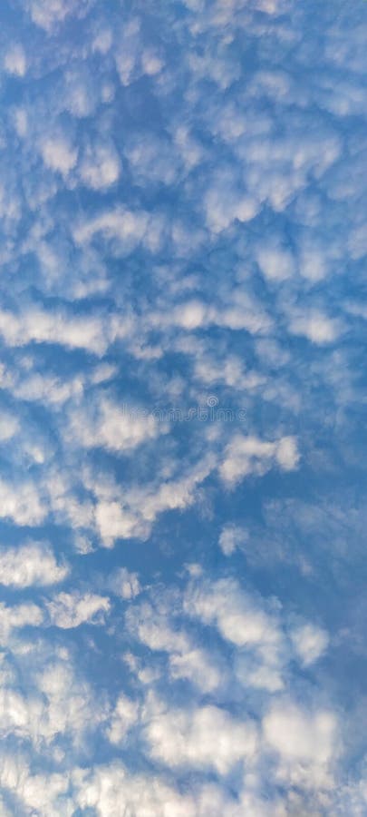 Blue is my favorite colour stock image. Image of line - 248240151