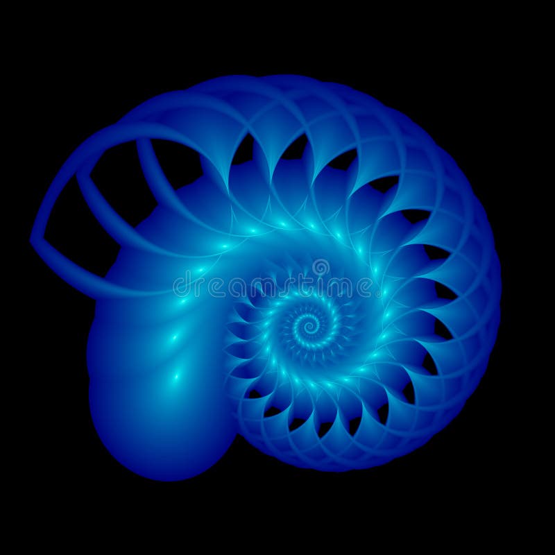 Nautilus Stock Illustrations – 12,100 Nautilus Stock Illustrations ...