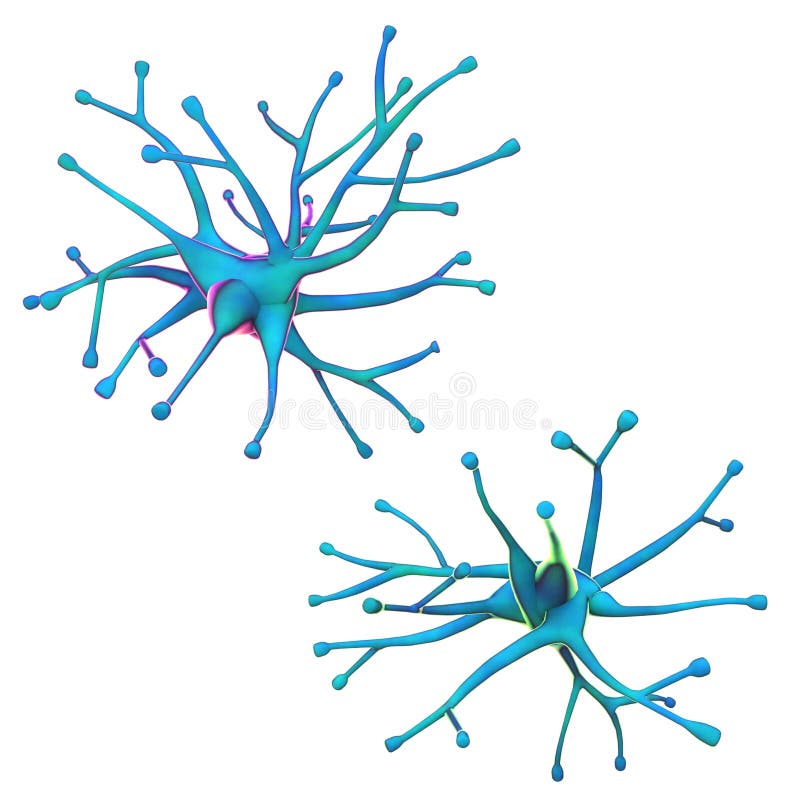 Neurons Isolated on a White Background. 3d Models of Brain Cells. Stock ...